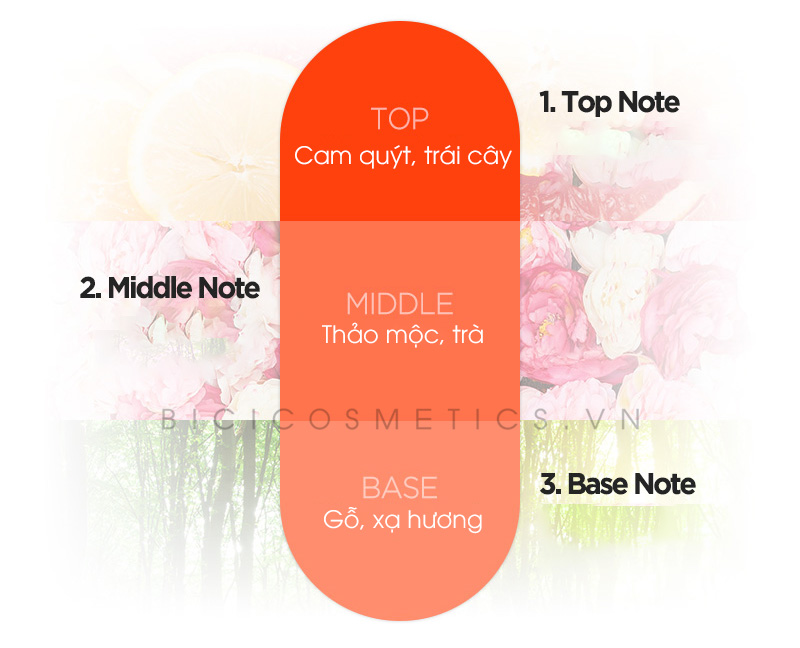 Tiêm Botox Tại Nhà Với Tinh Chất Tế Bào Gốc Trứng Cá Hồi SUISKIN Salmon DN Ampoule Đệp Như Mơ ...